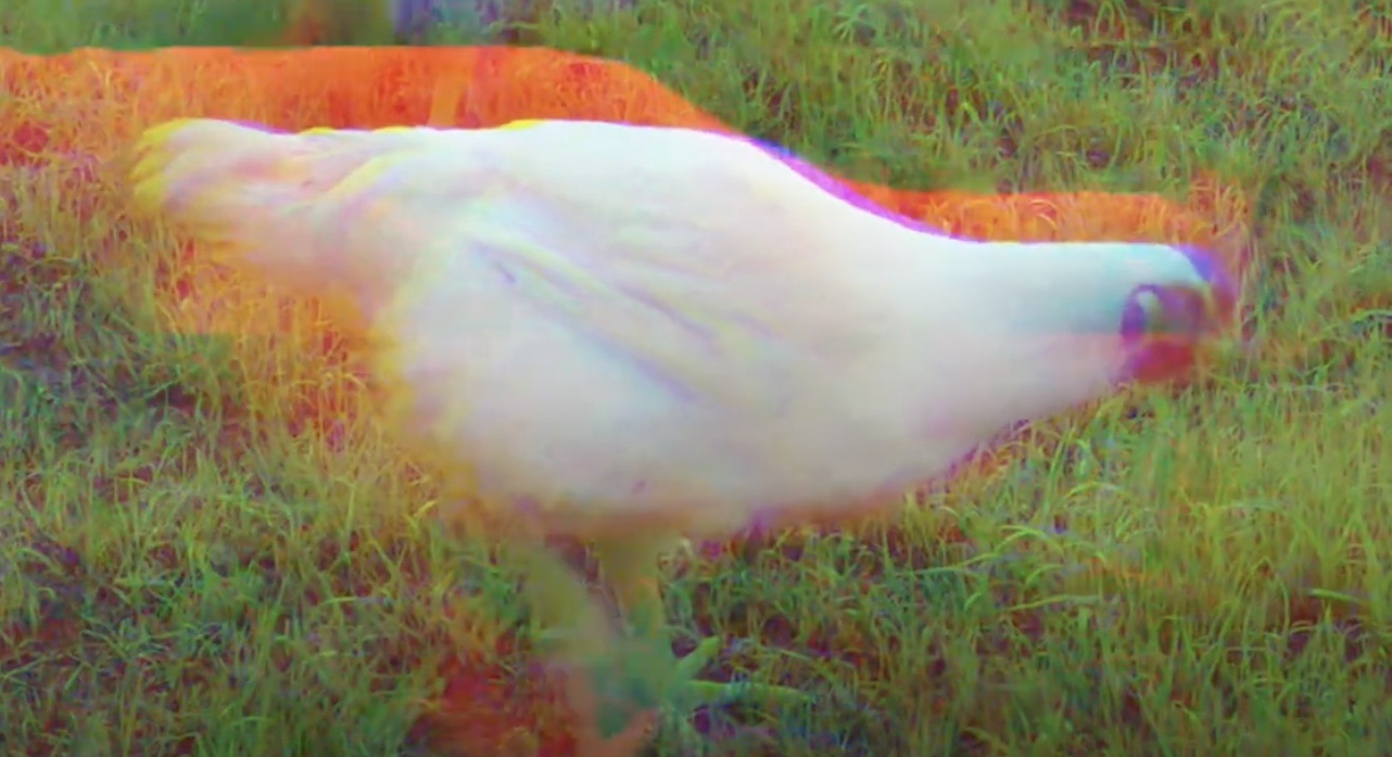 Bawk Bawk Moo Moo – Das Kraftfuttermischwerk