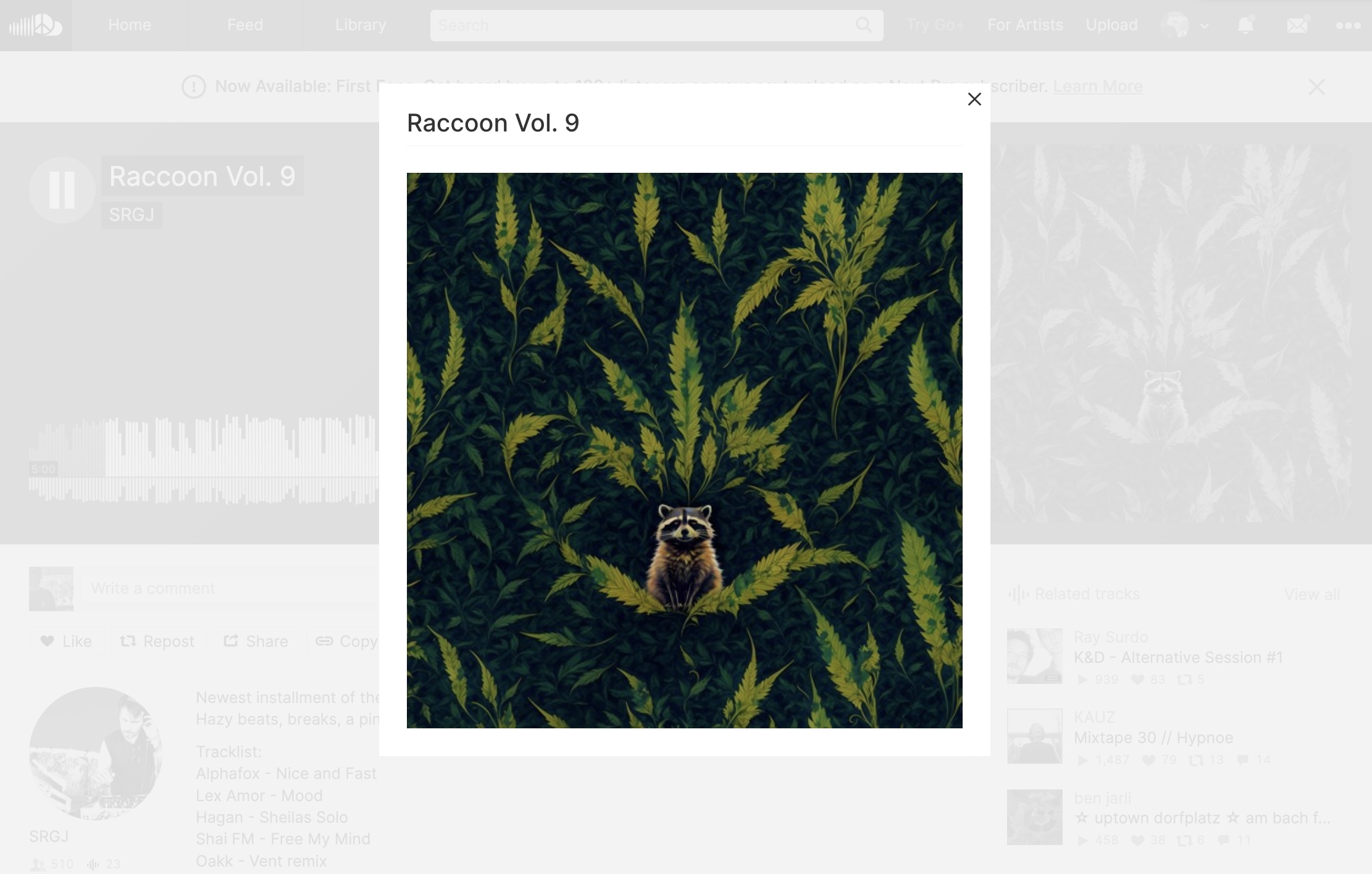 Mix: SRGJ – Raccoon Vol. 9 – Das Kraftfuttermischwerk