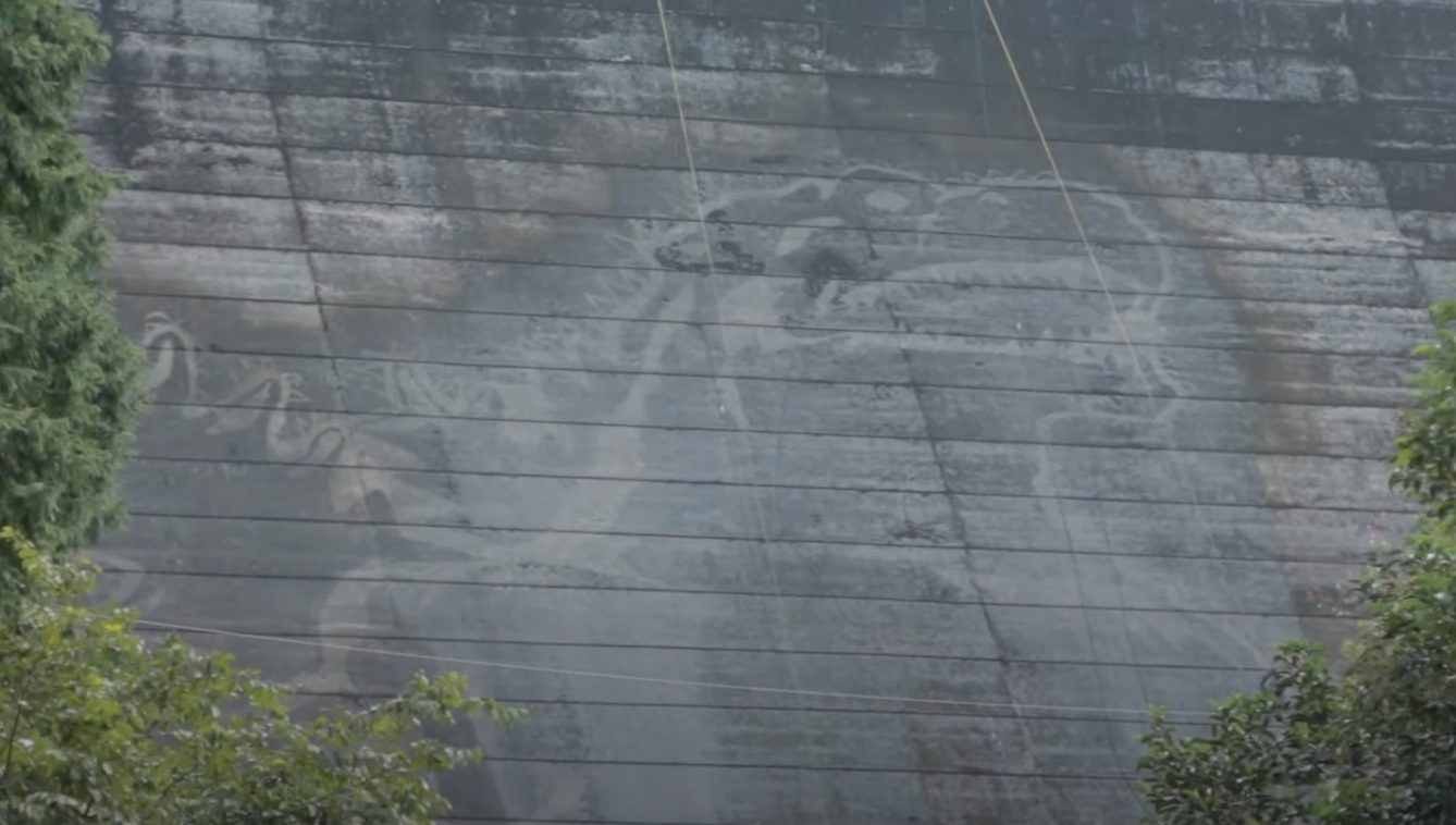 Godzilla auf einem Staudamm als Reverse Graffiti – Das Kraftfuttermischwerk