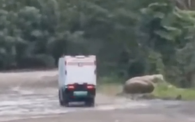 Driverless delivery vans have become a total meme – Das ...